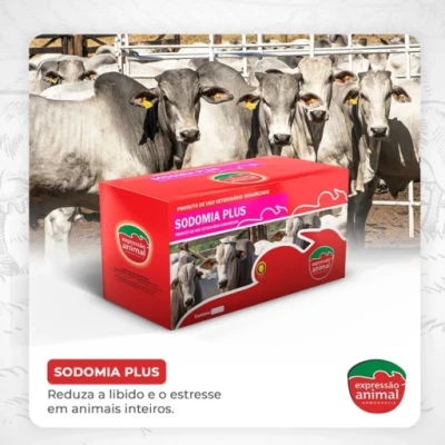 Perguntas Frequentes sobre Sodomia Bovina